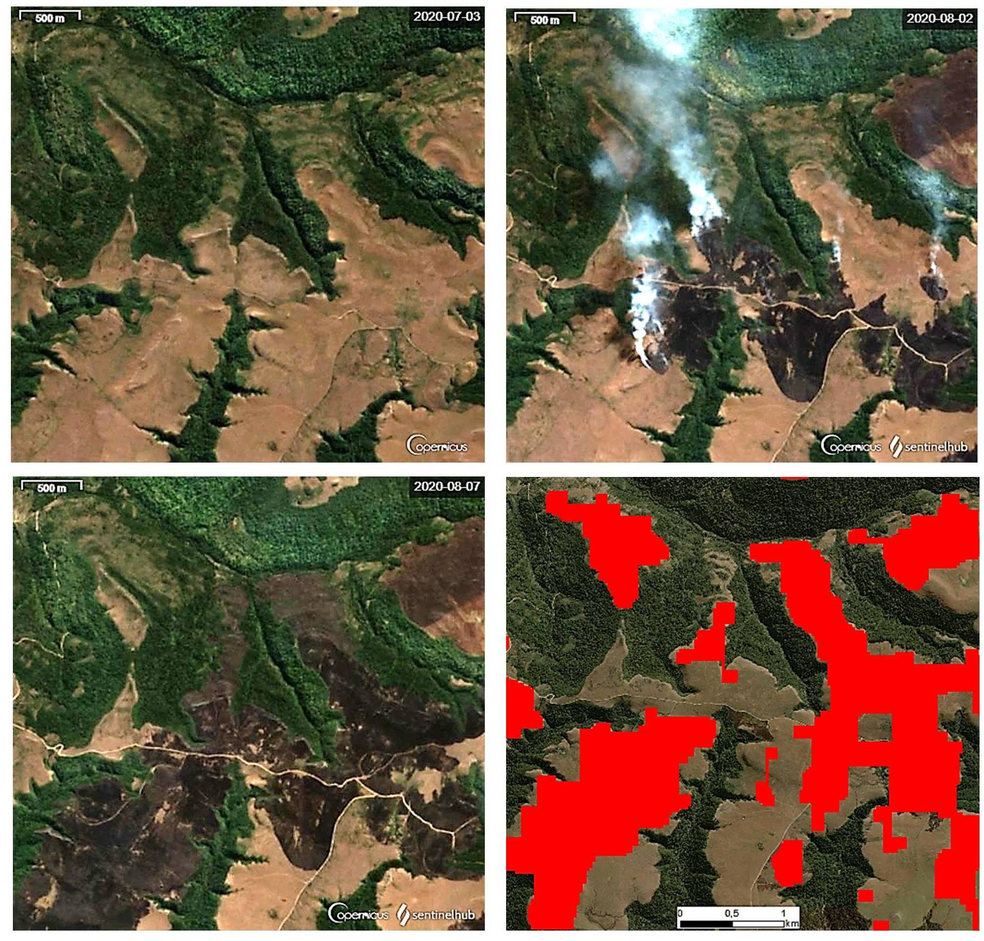 Estudo realizado por imagens de satélite analisa duas décadas de ...